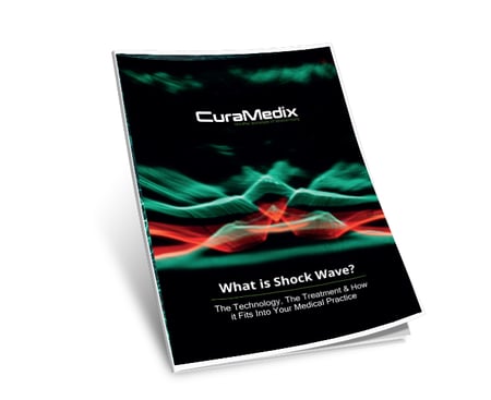 What is Shockwave? The Most Comprehensive White Paper E-Book